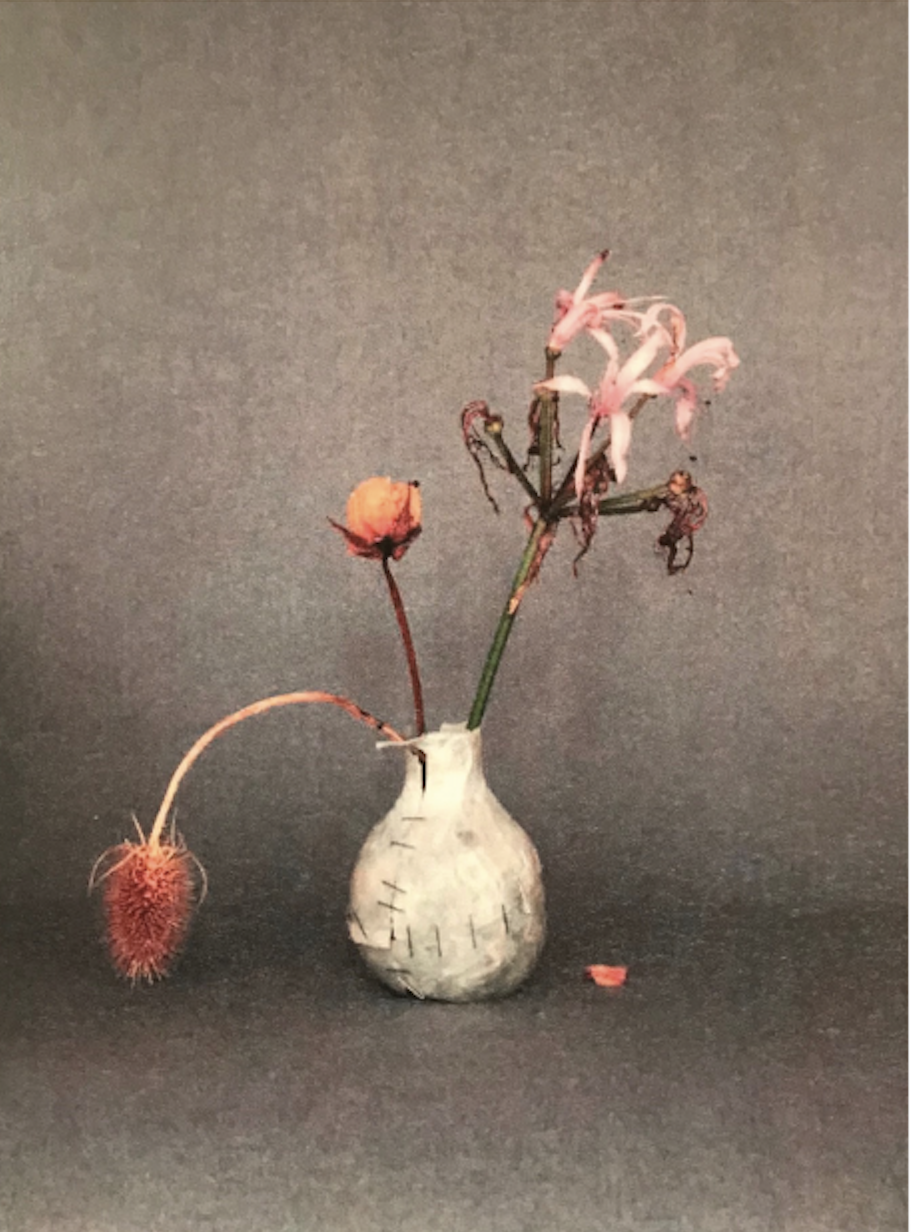 Odyssey Postcard Fundraising Exhibition – Raveningham Sculpture Trail
